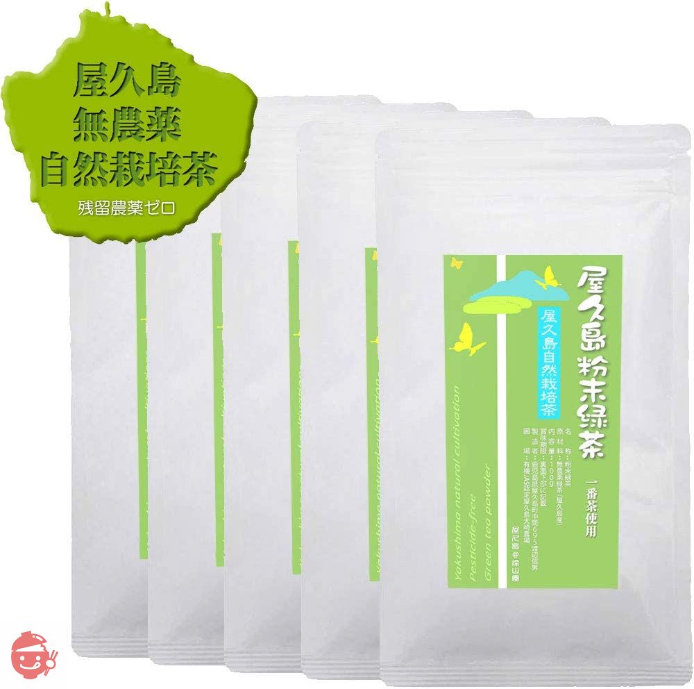 Ichibancha green tea powder (100g ×5) – Japacle