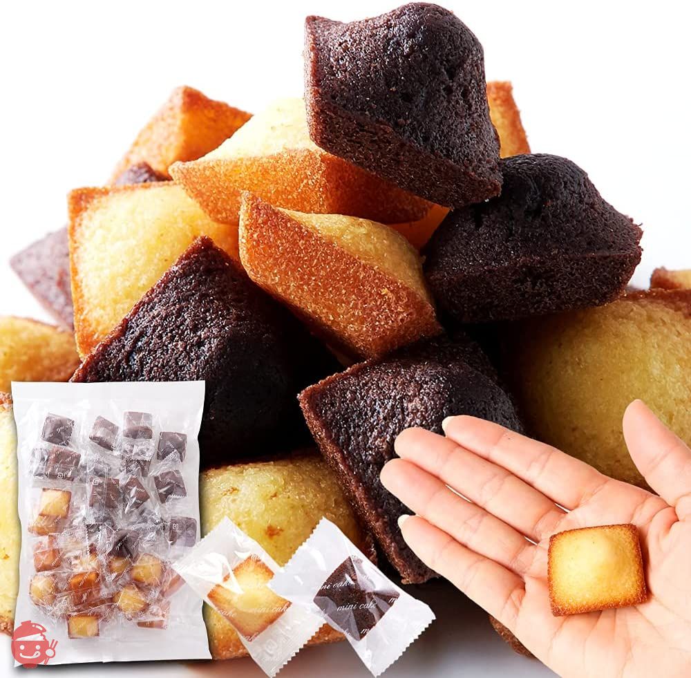 Tennen Seikatsu Petit Financier & Petit Choco Financier (30 pieces – Japacle