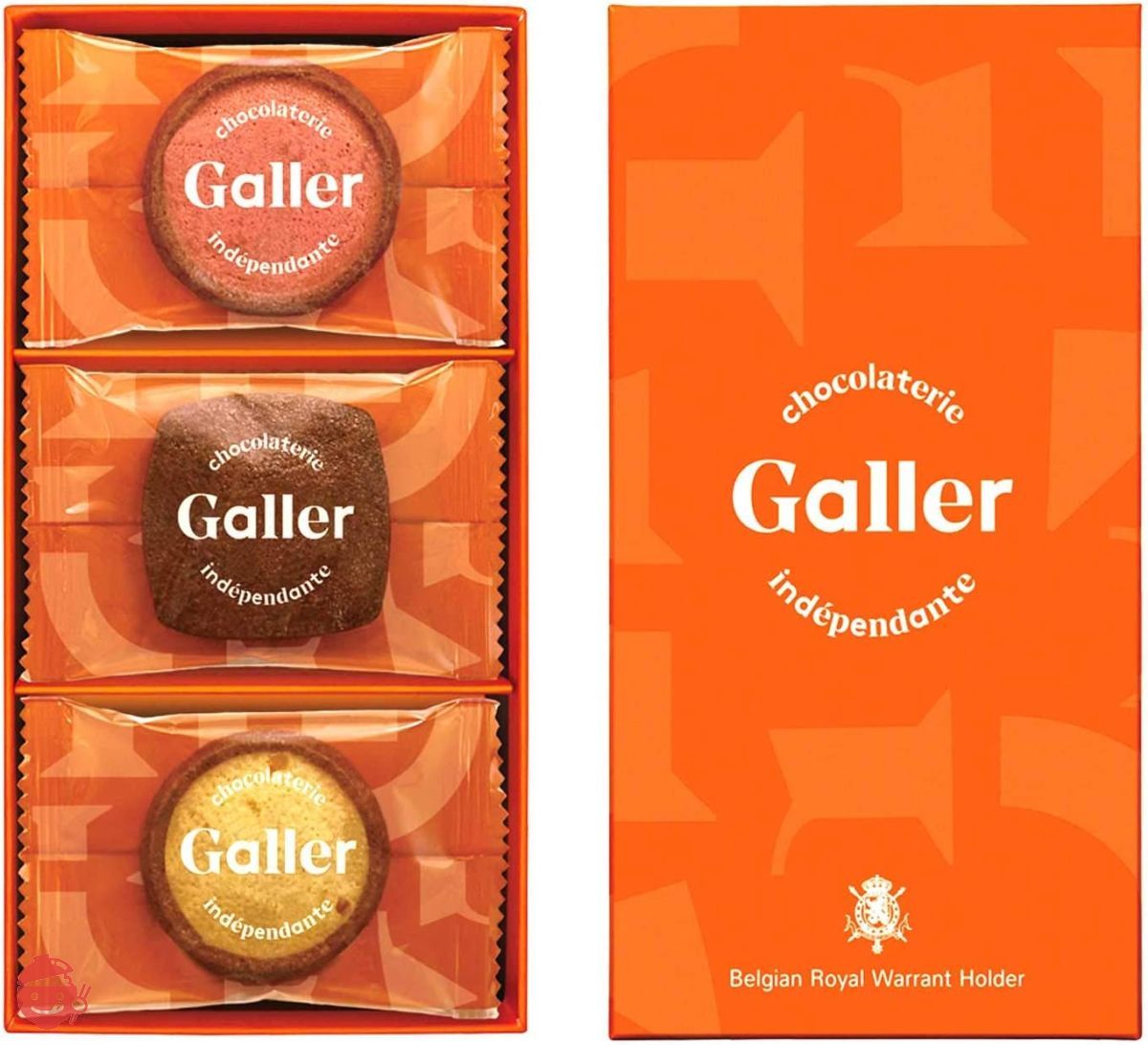 Galler Galley Chocolate Cookies 3 Types Assorted 12 Pieces 2023 Popula – Japacle