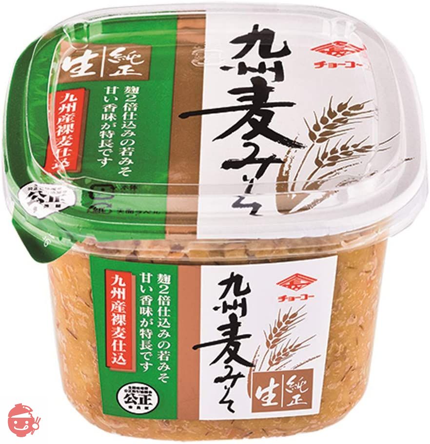 Choko Kyushu barley miso 500g – Japacle