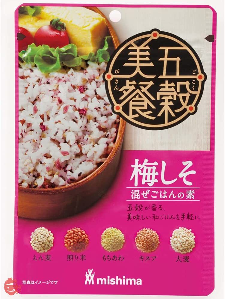 Mishima Foods Gokoku Meishan Plum Shiso 24g x 10 pieces – Japacle