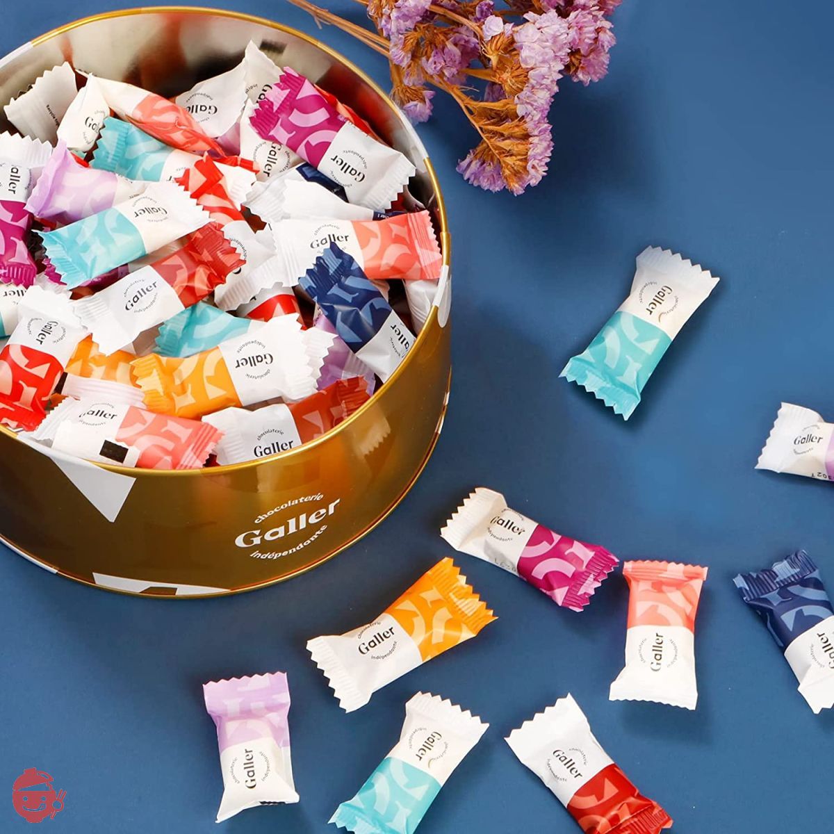 Galler Canned Chocolate Nanobar 100 Pieces Belgian Royal Purveyor Choc ...